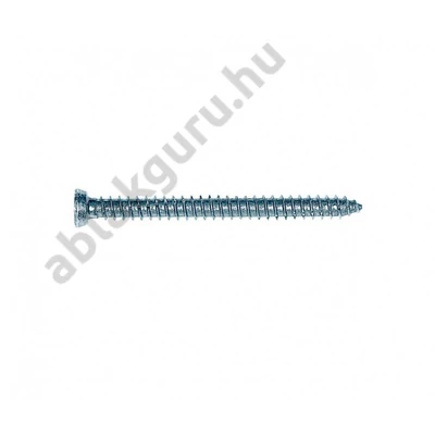 7,5 x 72 Tokrögzítő csavar (átmérő 7,5mm, horganyzott) TORX30 - ár ...